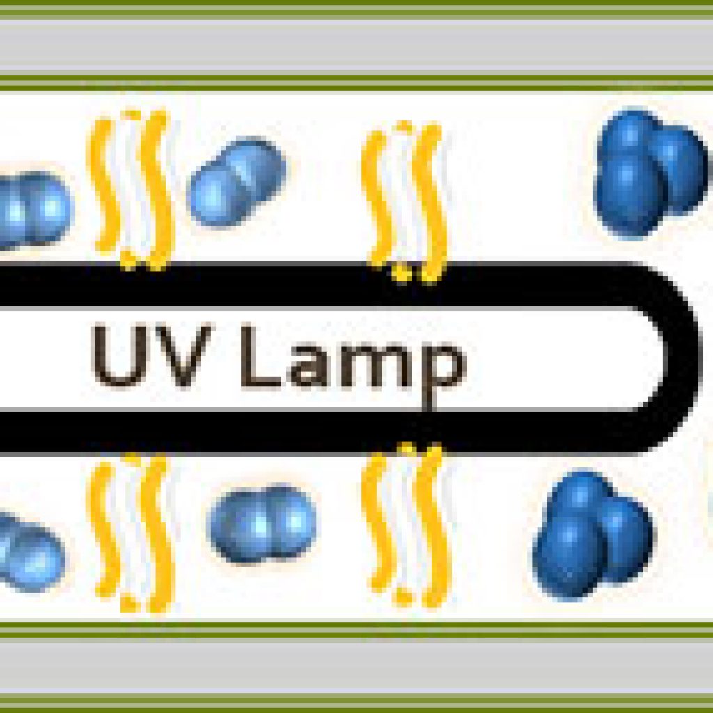 Generation | Solution Ozone