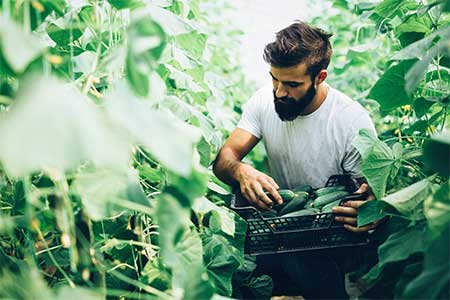 About Us | Solution Ozone