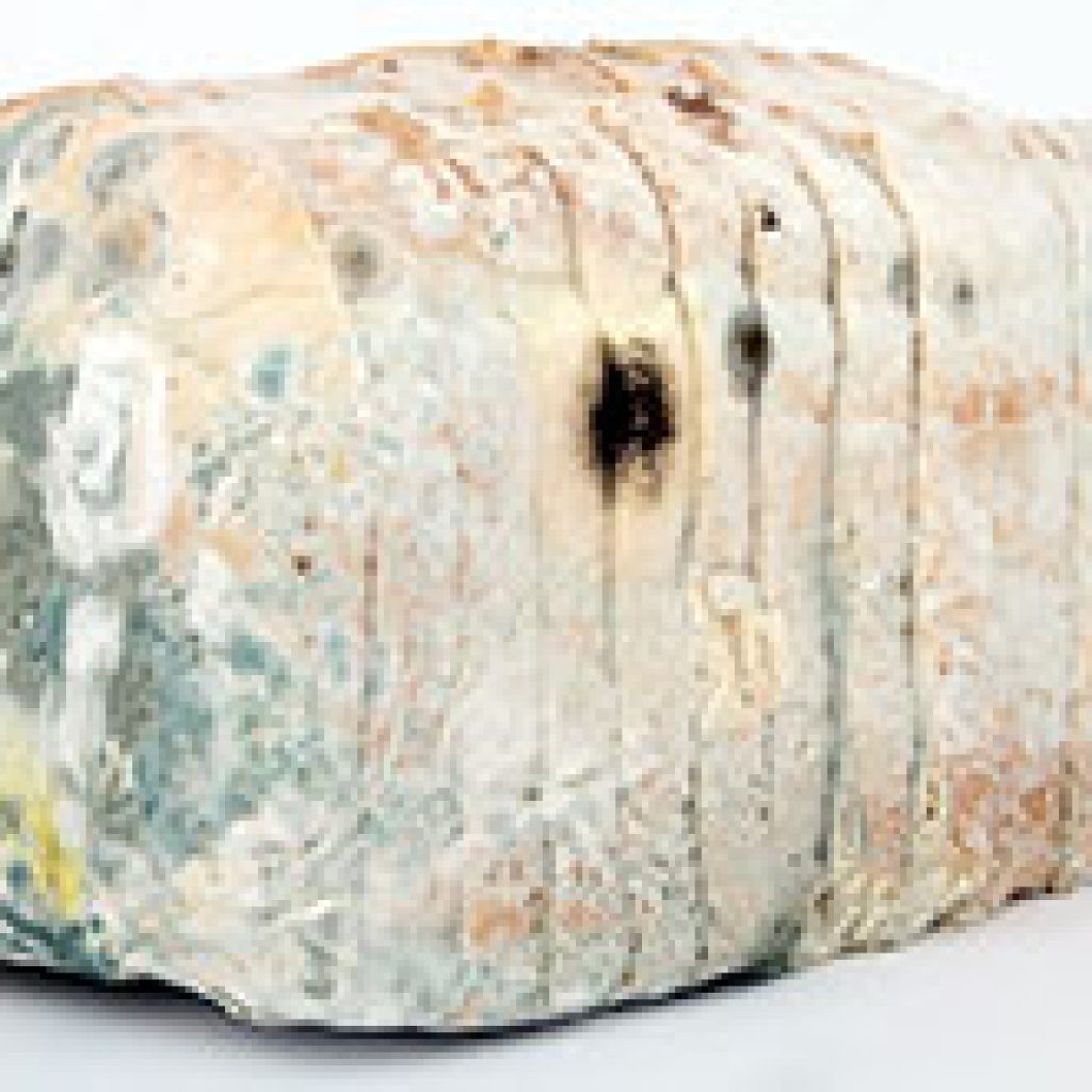 Effects on Pathogens - Solution Ozone